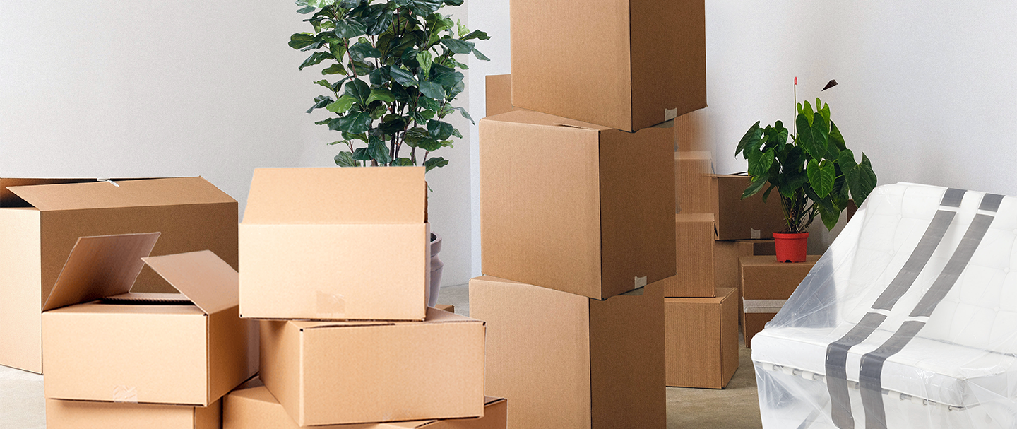 1A Umzugsmaterial zum günstigen Preis | Frieden Umzüge